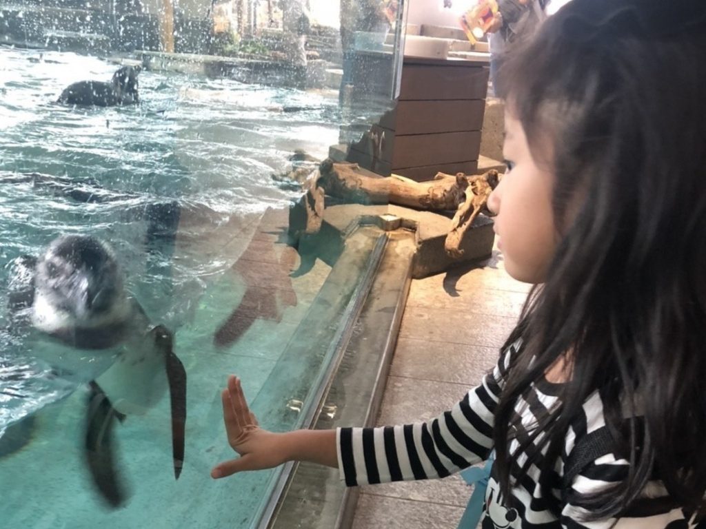 NIFREL | NPO法人そら