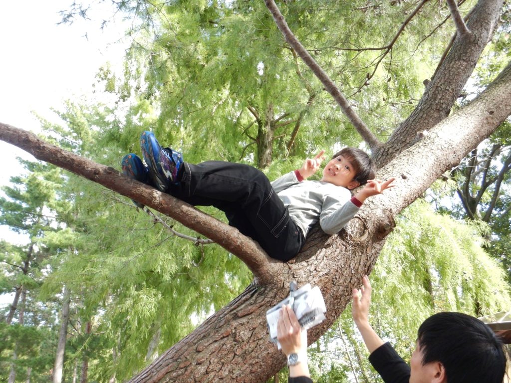 NIFREL | NPO法人そら