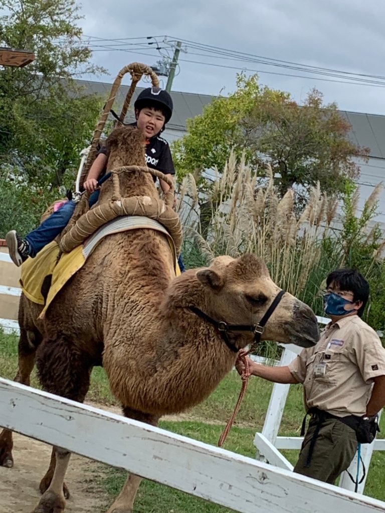 神戸どうぶつ王国 | NPO法人そら